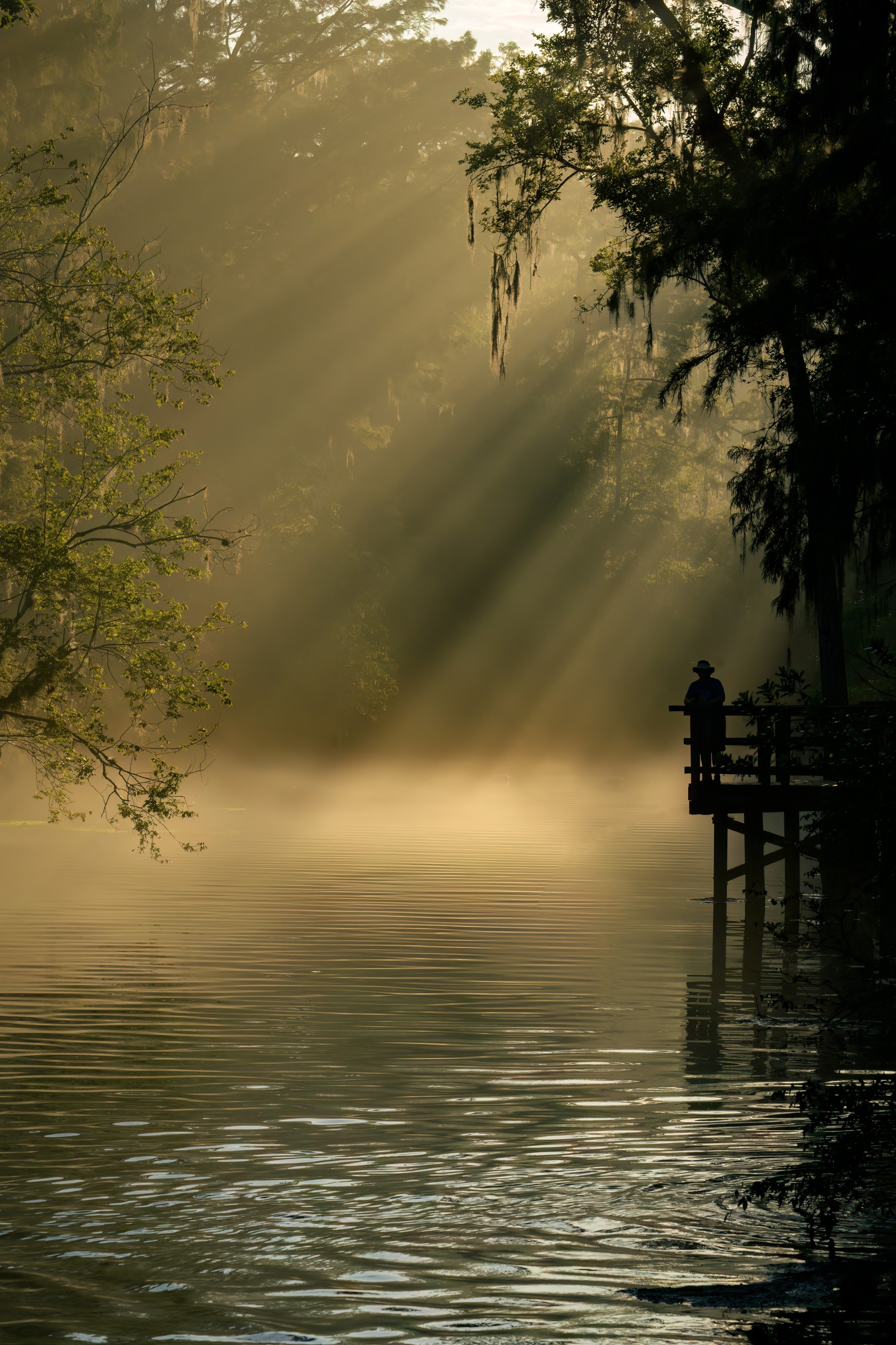 Florida State Parks Announces Winners of 2023 Photo Contest