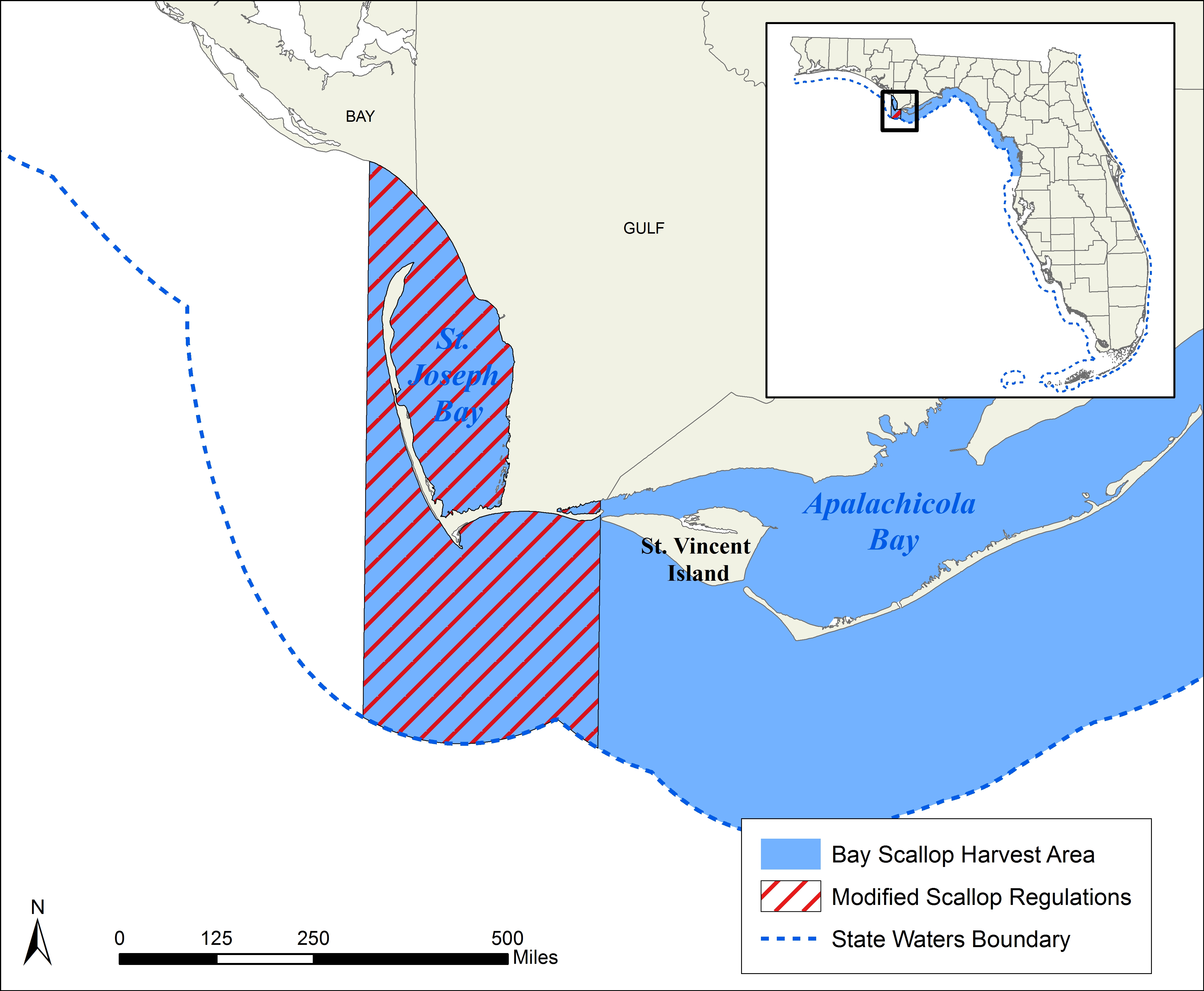 Bay scallop season in St. Joseph Bay opens Aug. 22 with bag limit changes