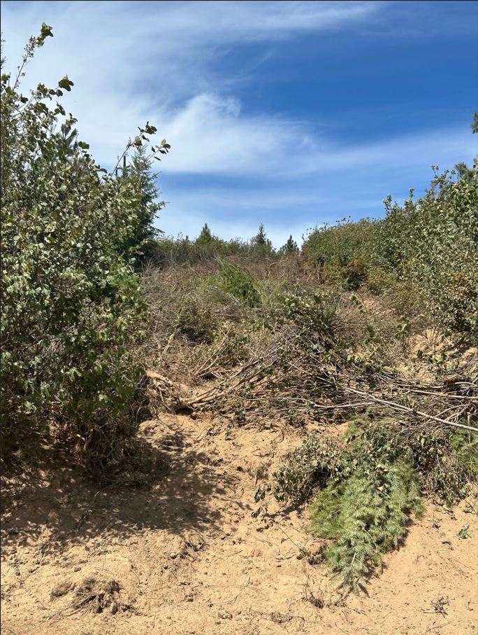 Wildfire Alert: Cherry Fire – Current as of 9:00 AM PT on 7/20/2025