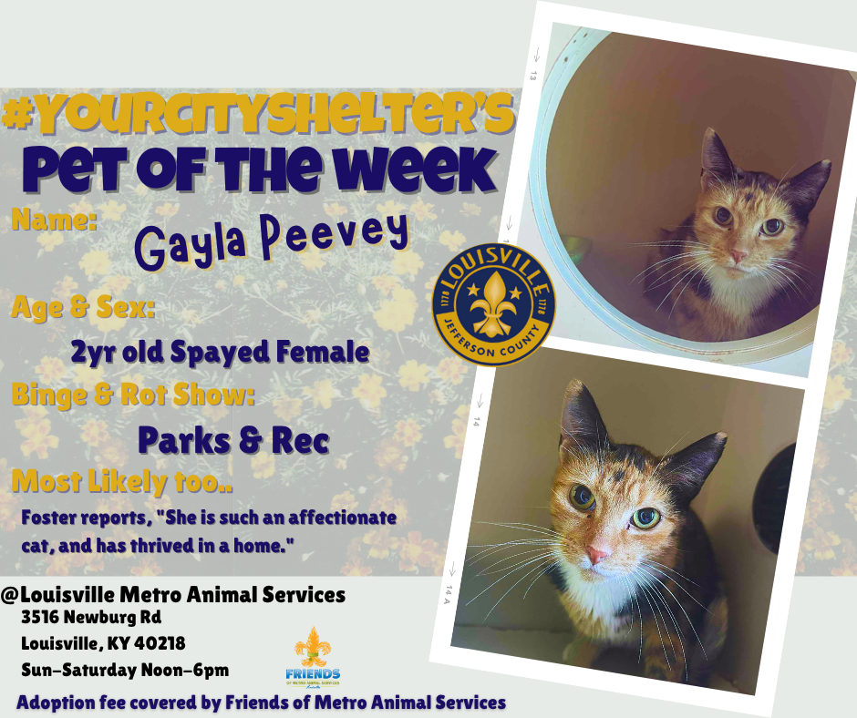 District 23 Update - November 14, 2025