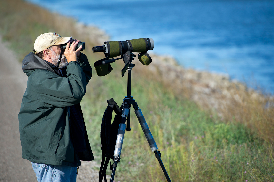 Michigan’s five birding trails offer wildlife-viewing adventure