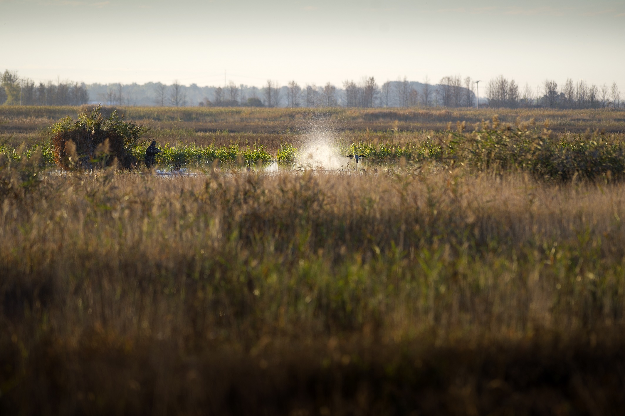 Plugging into the power of public lands