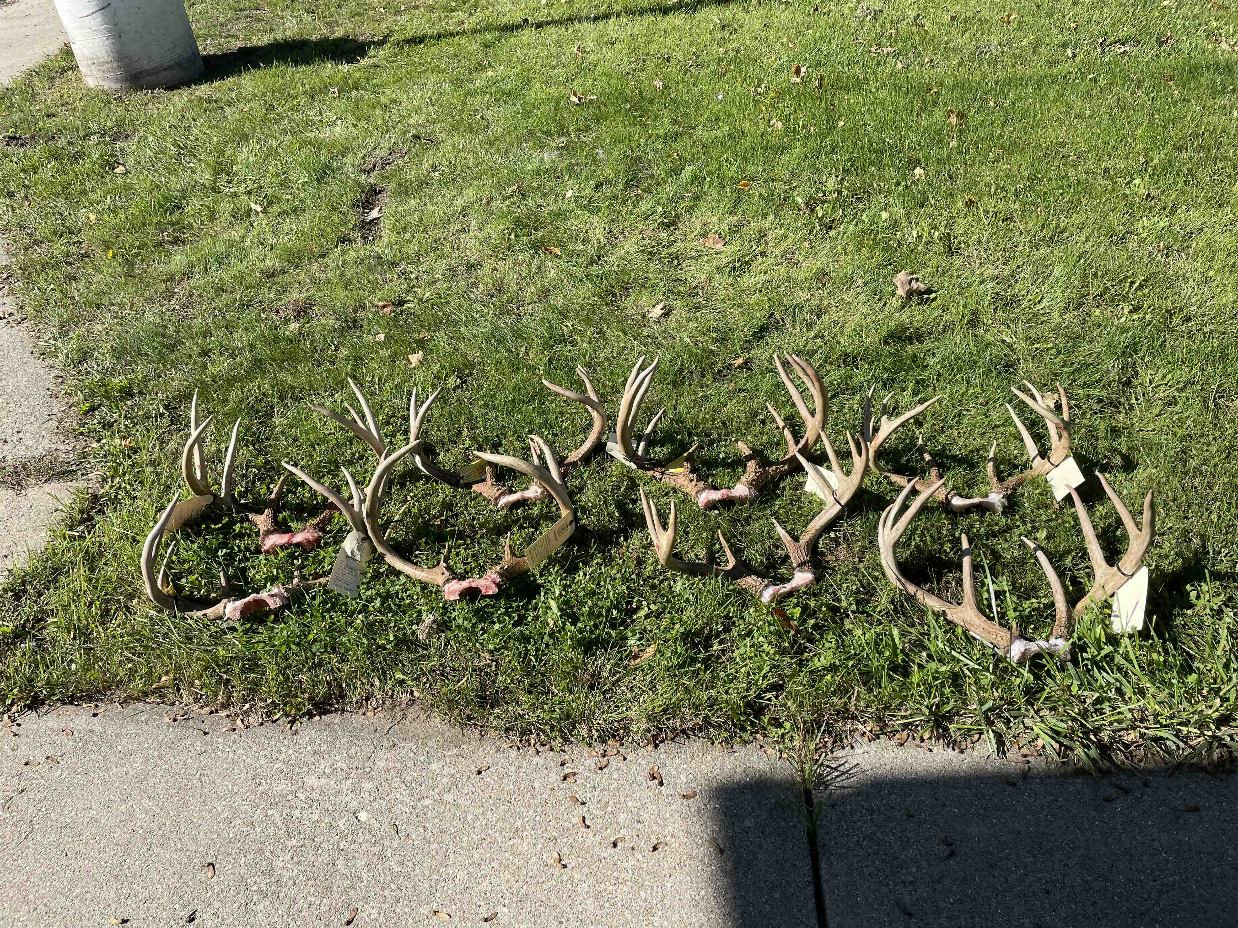 Van Buren County suspect charged in poaching of nine trophy bucks