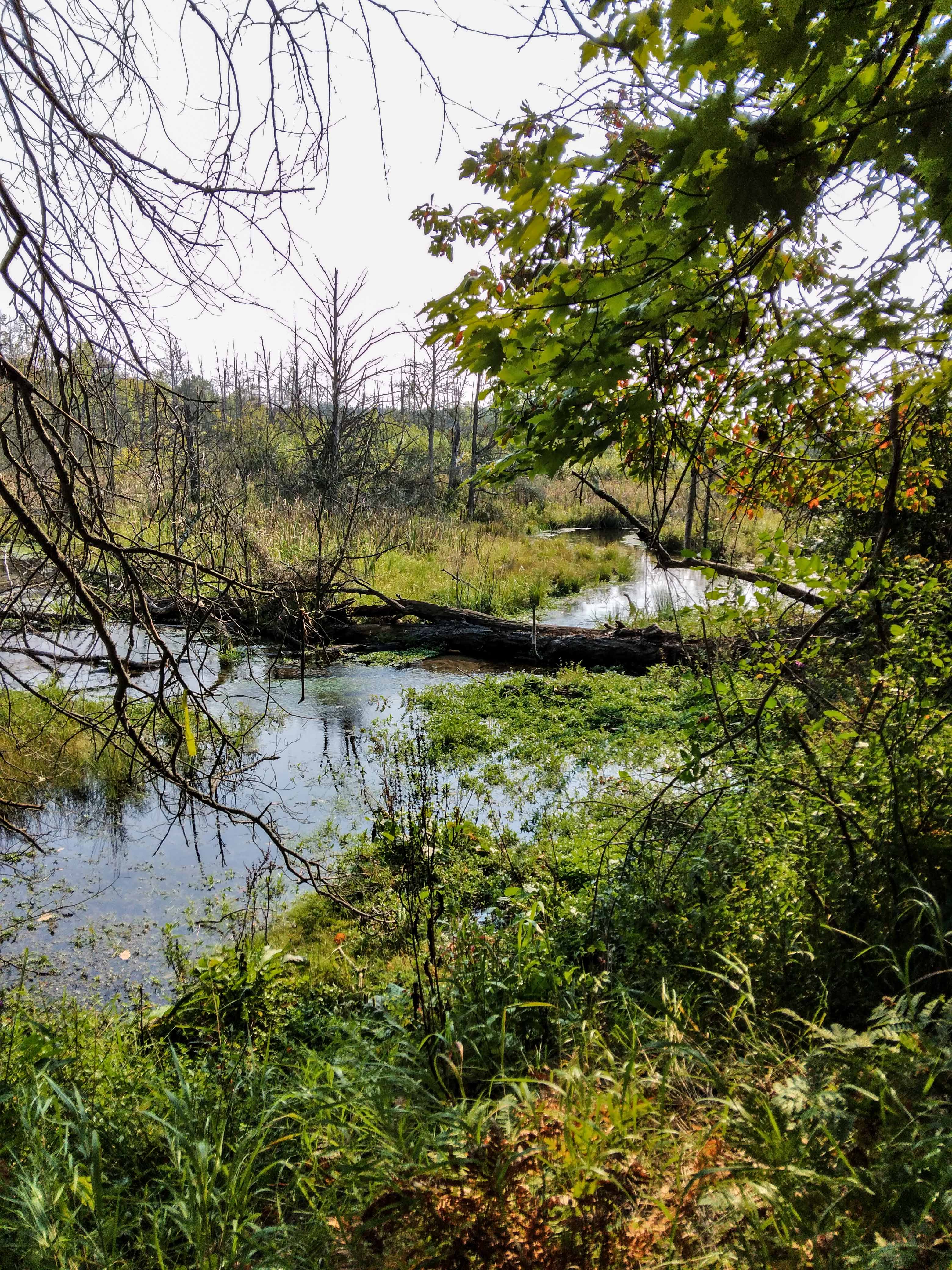 Showcasing the DNR: Partnerships go a long way at Gourdneck State Game Area