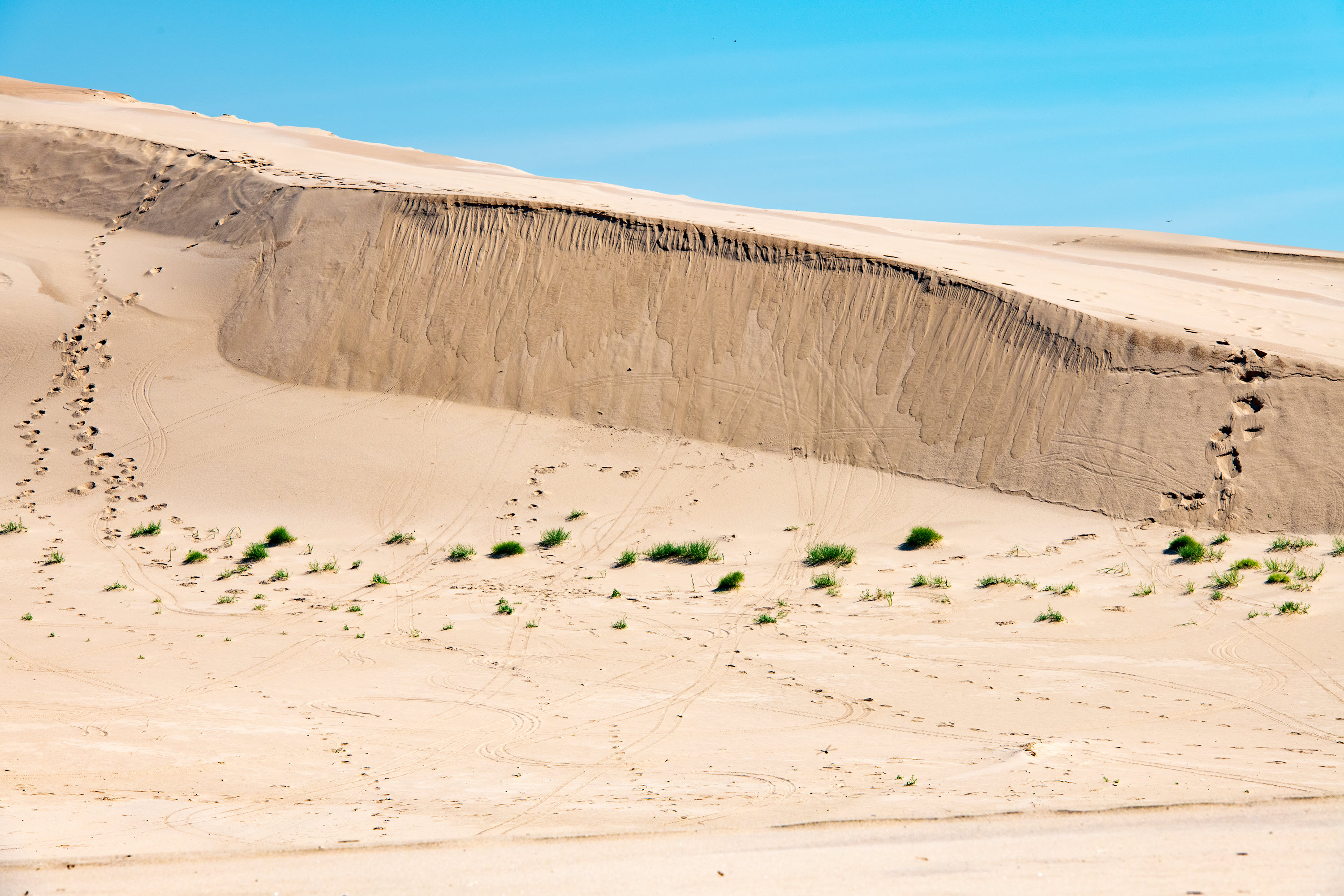 Child released from hospital after sand collapse at Silver Lake sand dunes