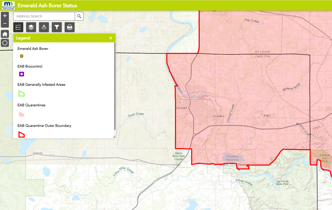 Emerald Ash Borer Found in Carlton and Lake Counties