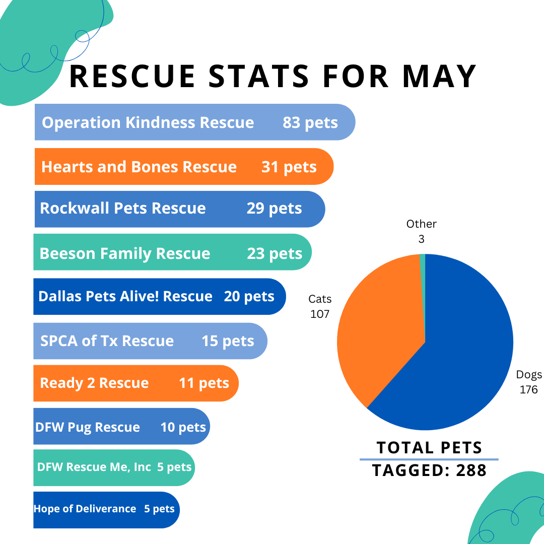 Rescue Newsletter