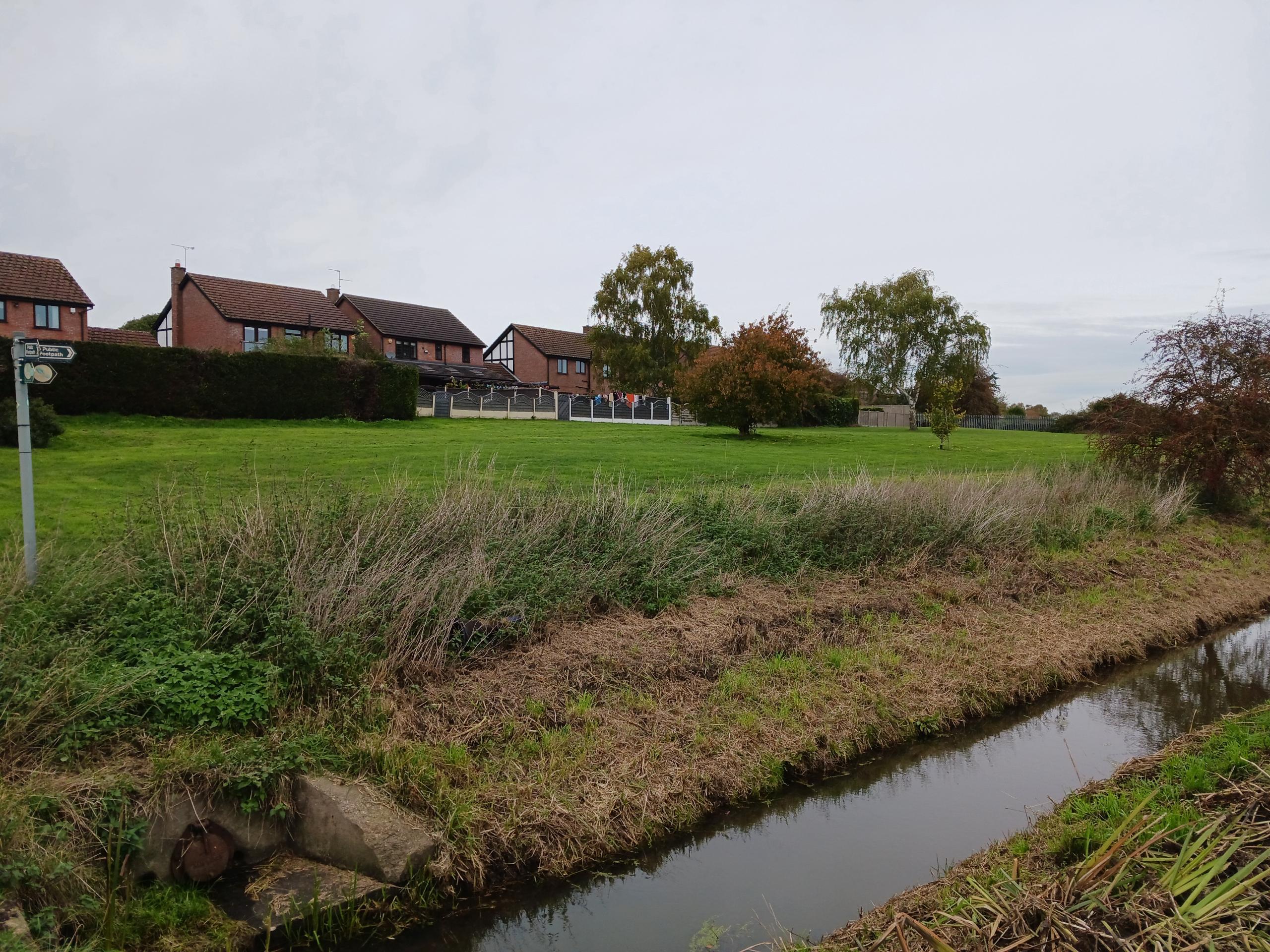 Climate action - January 2026 newsletter: tree planting, e-waste week ...