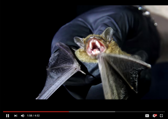 May 2016 Outdoor Alabama Newsletter