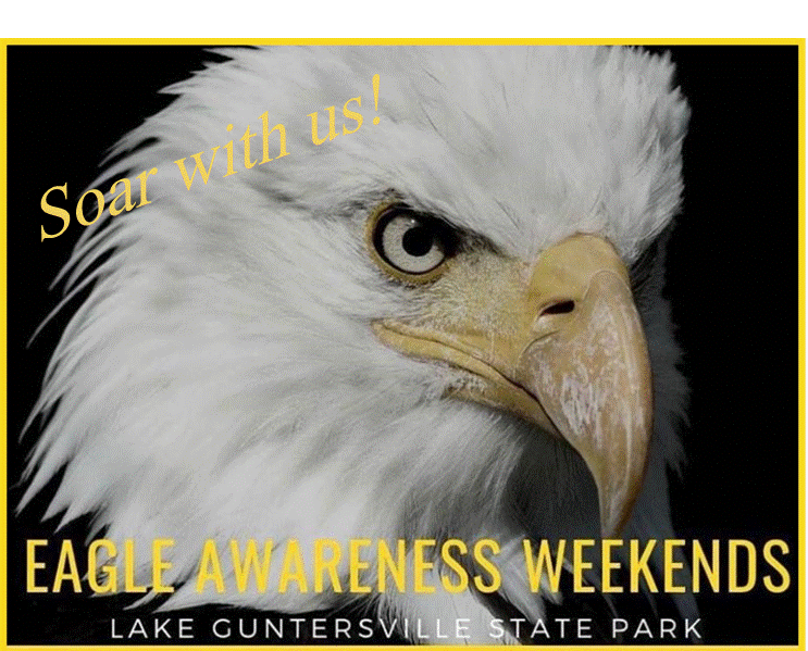 SOAR WITH US! Eagle Awareness 2022