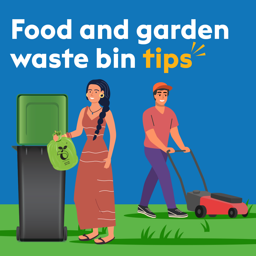 Free family fun at SportsFest | Lunar New Year celebrations