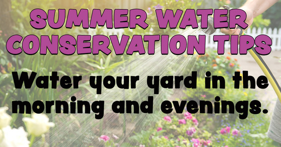 Save water and keep your garden green!