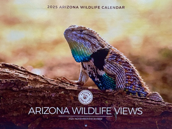 Wild+Life: For people who care about Arizona's wildlife