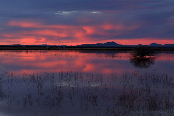 AZGFD begins proposed rulemaking to amend Article 8 rules