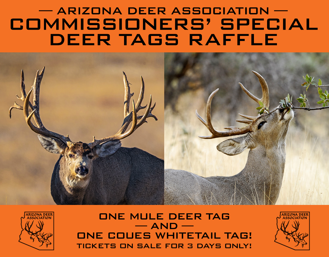 Two deer hunt permit-tags up for grabs