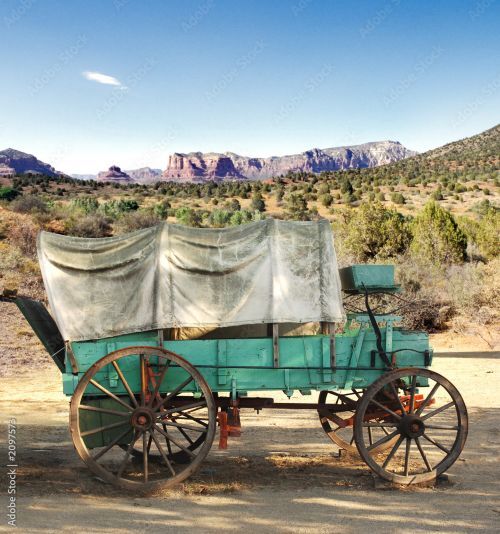 More Glendale Library Events for January 2026