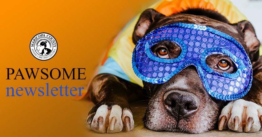 October Pawsome Newsletter