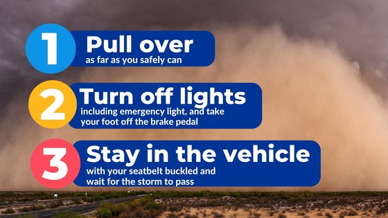 Primary Election Results, North Valley Regional Library Update, Stay ...