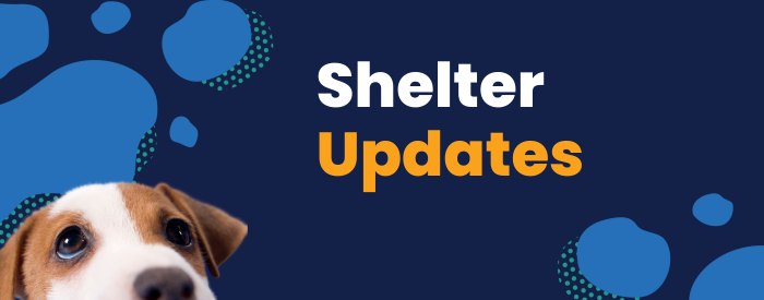 MCACC Shelter Update on Behavior Process Plan