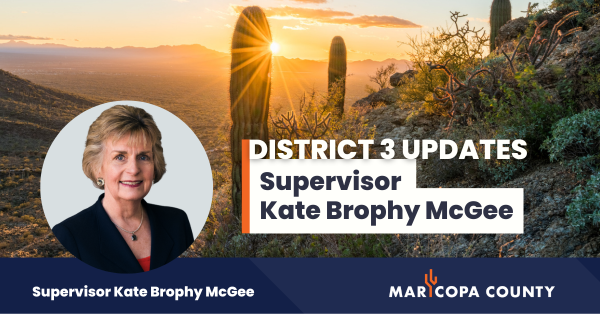 District 3 Updates - Temporary Closure and Bridge Maintenance