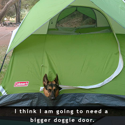 Maricopa Currents: County News for You