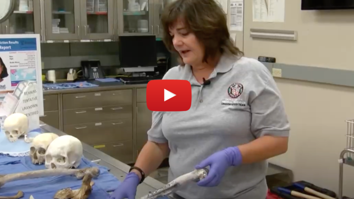 Maricopa Currents: County News for You