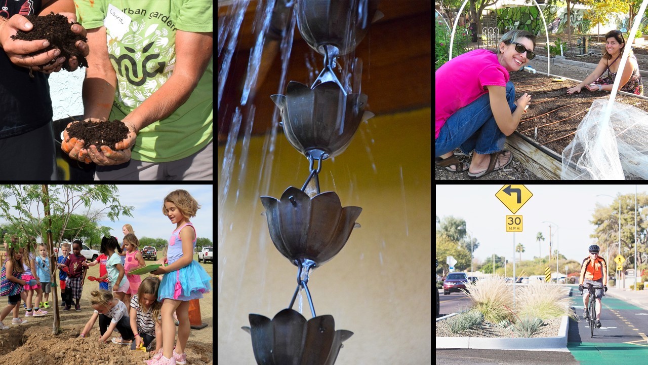 Living Green Events for November