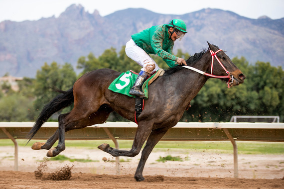 County puts hold on search for new operator for historic Rillito ...