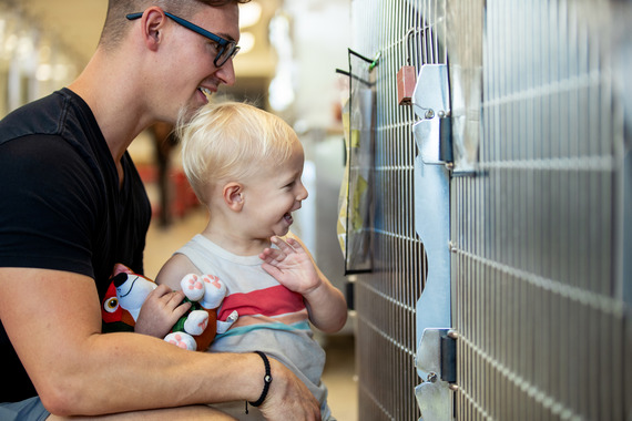 PACC’s Fall Festival returns, features free adoptions and family fun