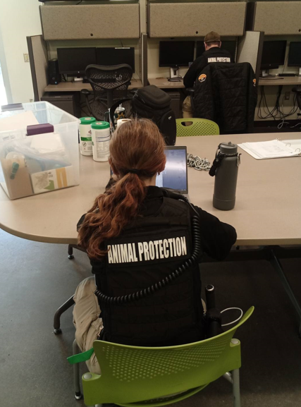 Welcome to the May 12 issue of Shelter Scoop - news from Pima Animal ...