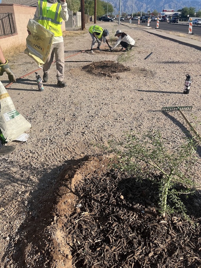 October 2025 Climate Action Newsletter