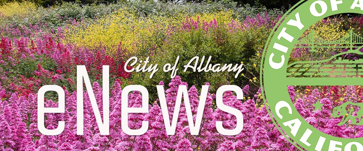 Albany News: July 18, 2025