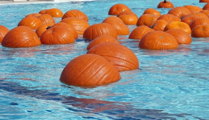 Jump into Fall with Exciting City of Berkeley Events