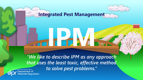 Pest Inspection: Everyday IPM in Child Care Programs
