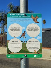 Choose IPM: Hawk Perches