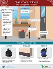 Back to Basics: Spider IPM