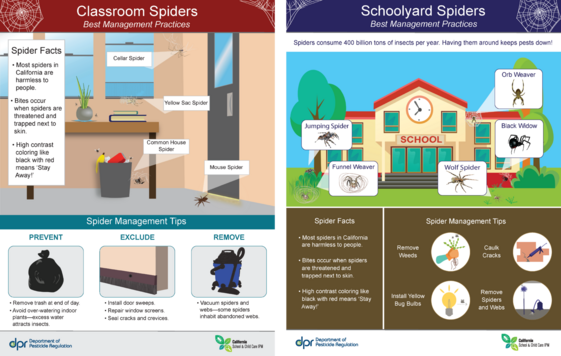 Back to Basics: Spider IPM