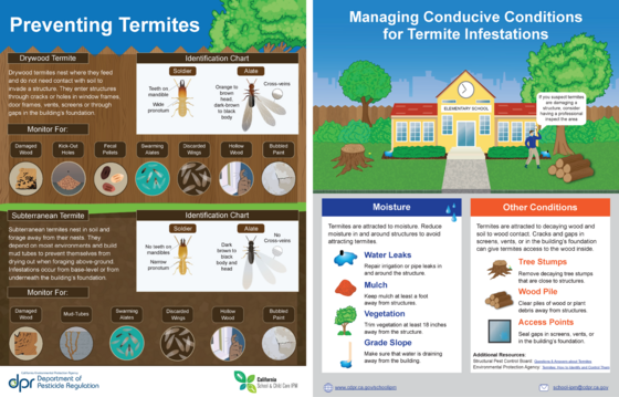 Back to Basics: Termite IPM
