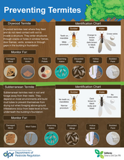 Back to Basics: Termite IPM