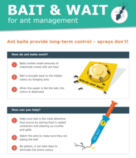 Choose IPM: Managing Ants