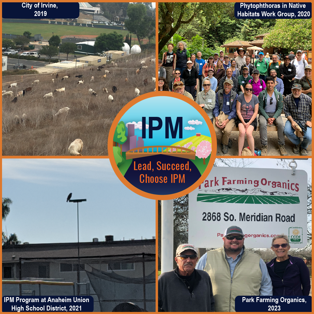 Learn About DPR IPM Achievement Award Winners