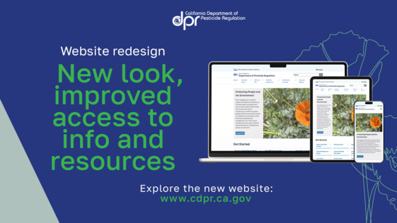 DPR Launches Redesigned Website Today