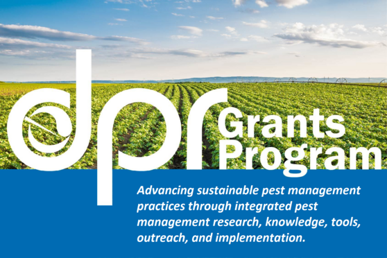 The 2026 SPM Grants Program Solicitation Period Is Currently Open