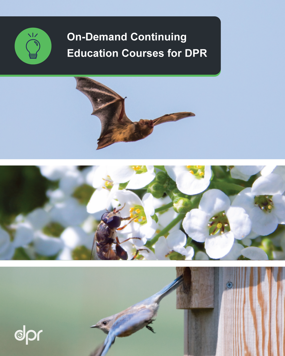 Free Continuing Education Sustainable Pest Management Courses