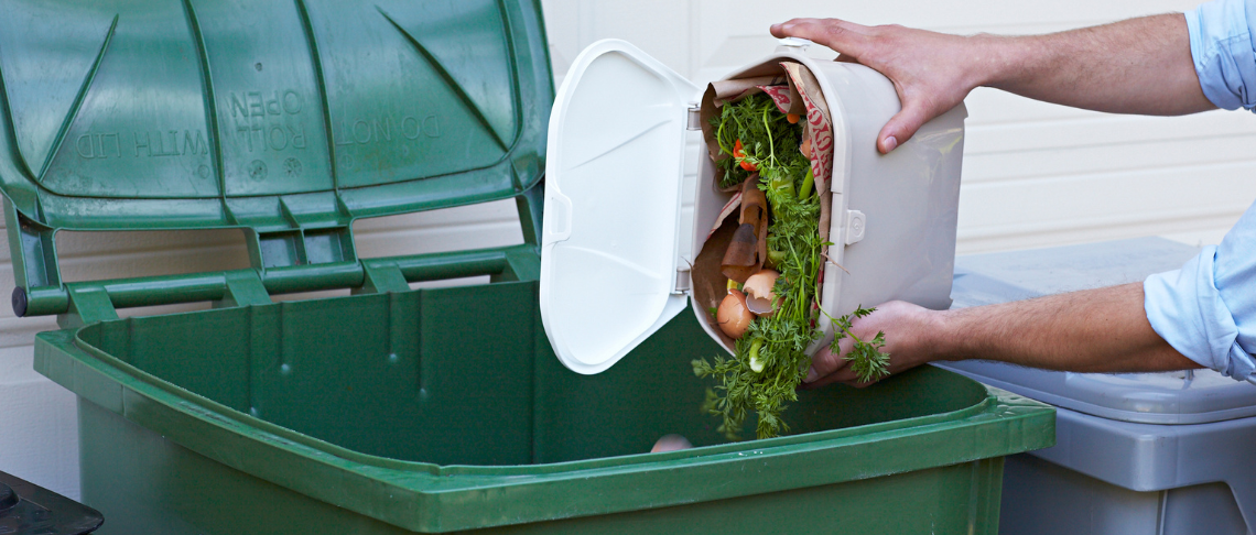Composting for the Holidays