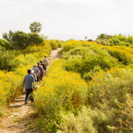 Stories That Matter: A Preview of the Orange County Archives Bazaar