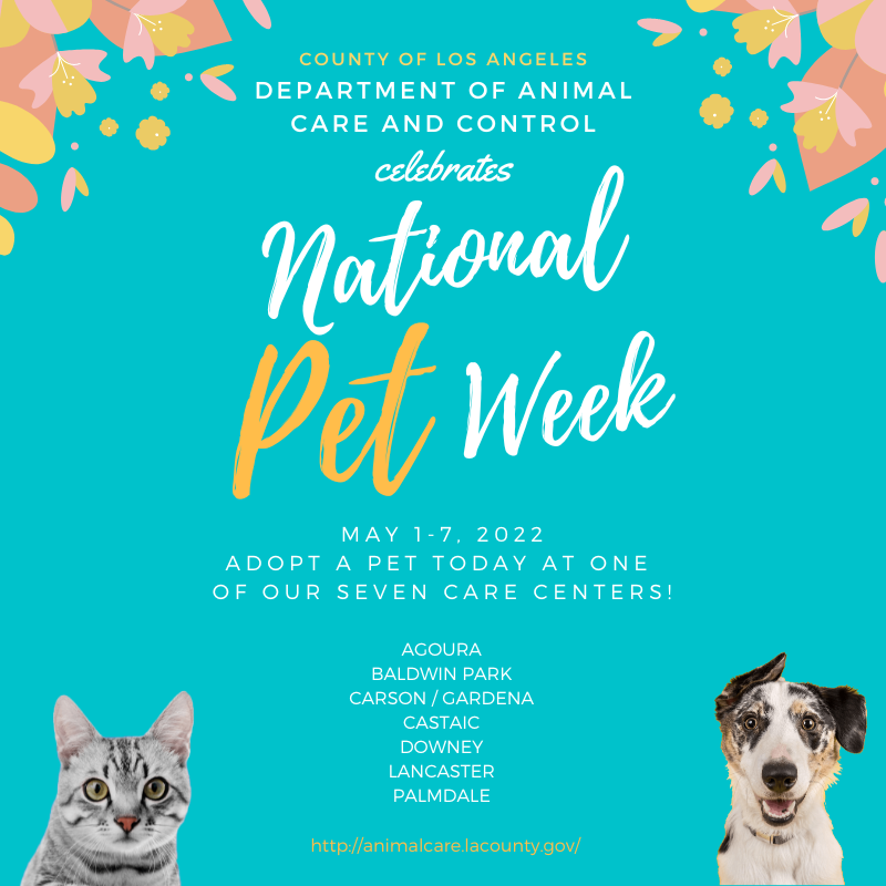 National Pet Week/ Semana Nacional de Mascotas