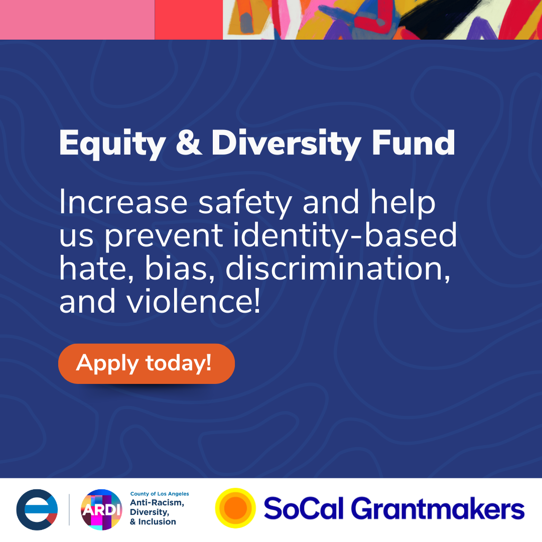Equity and Diversity Fund Launch, Advancing the Strategic Plan and ...