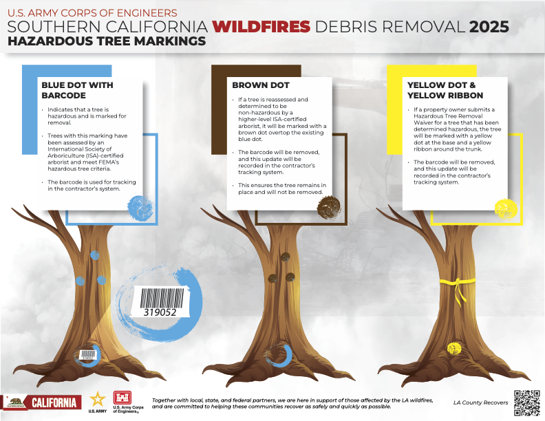 U.S. Army Corps of Engineers Expands Hazardous Tree Marking System ...