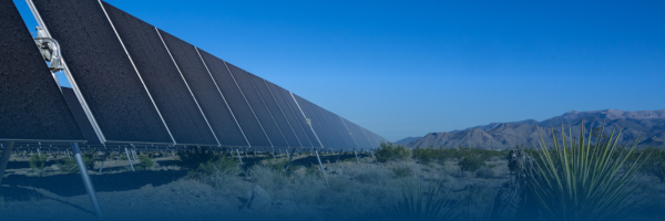 Your Clean Energy is Making a Difference—See the Benefits!